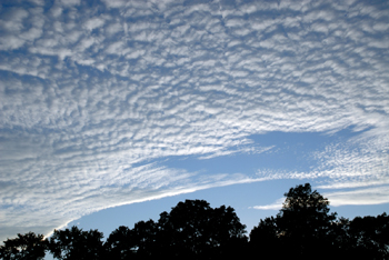 La reconnaissance et l'identification des nuages - Survivre à la nature