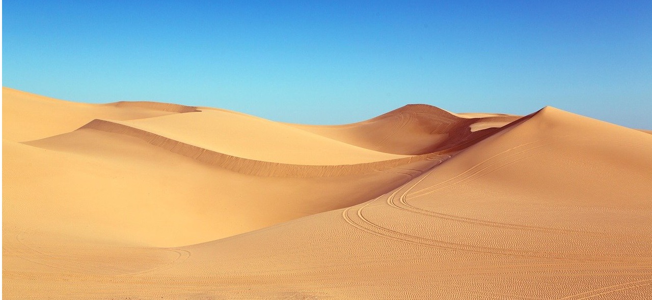 Où trouver de l'eau dans le désert - Survivre à la nature